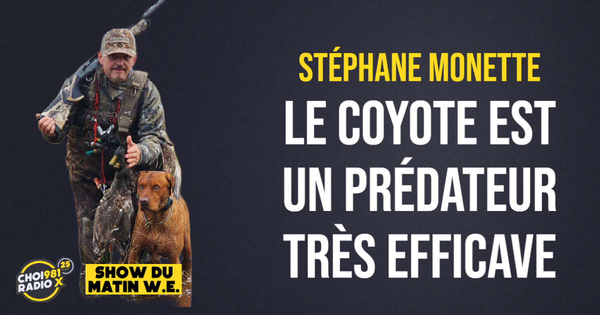 Stéphane Monette – Radio X