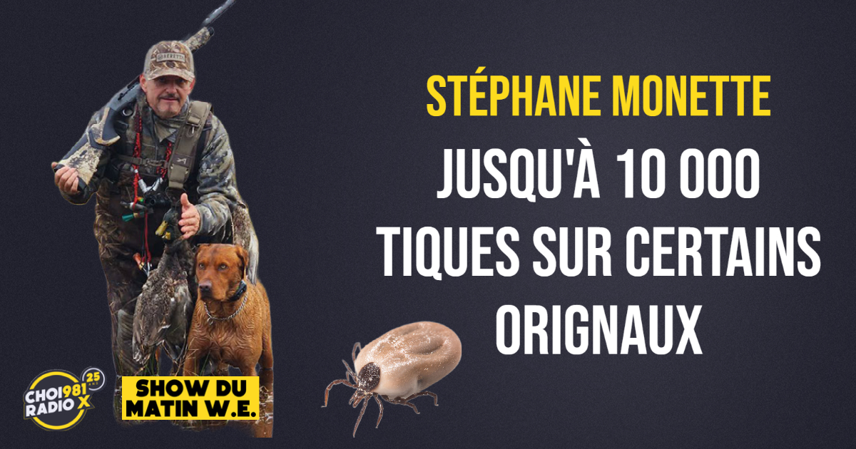 Stéphane Monette – Radio X