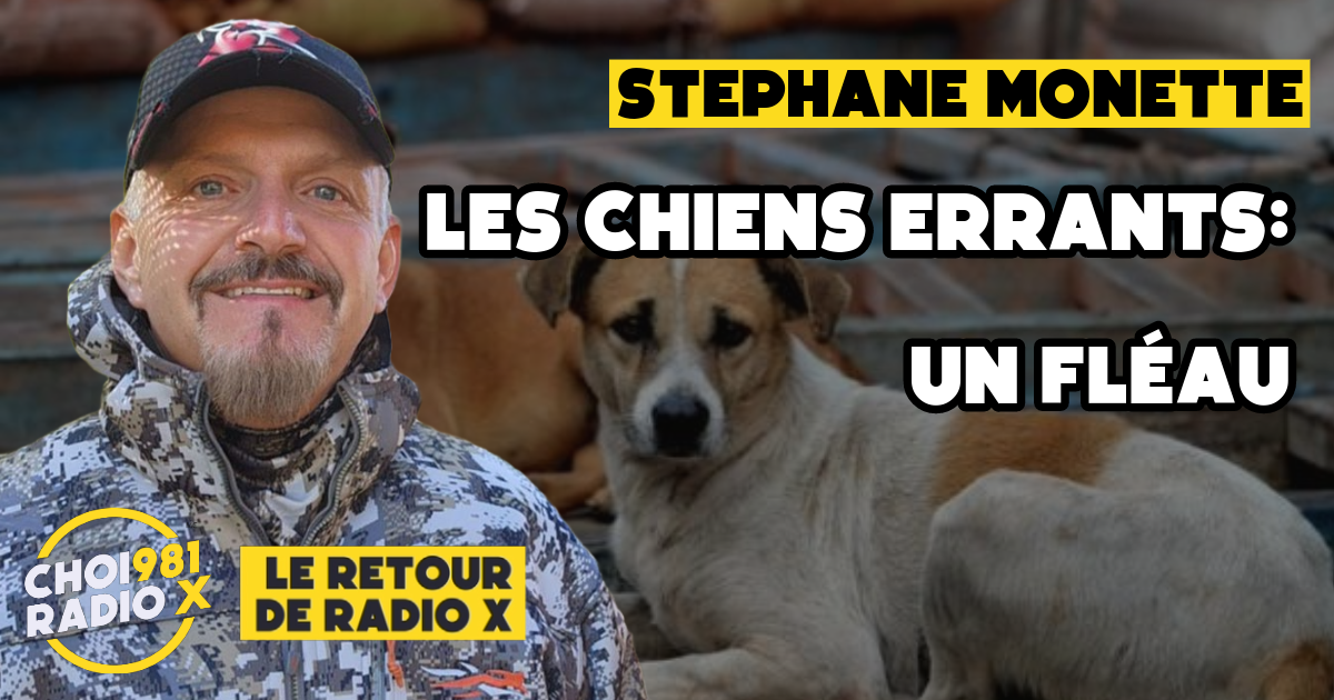 Stéphane Monette – Radio X