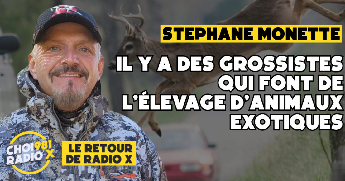 Stéphane Monette – Radio X