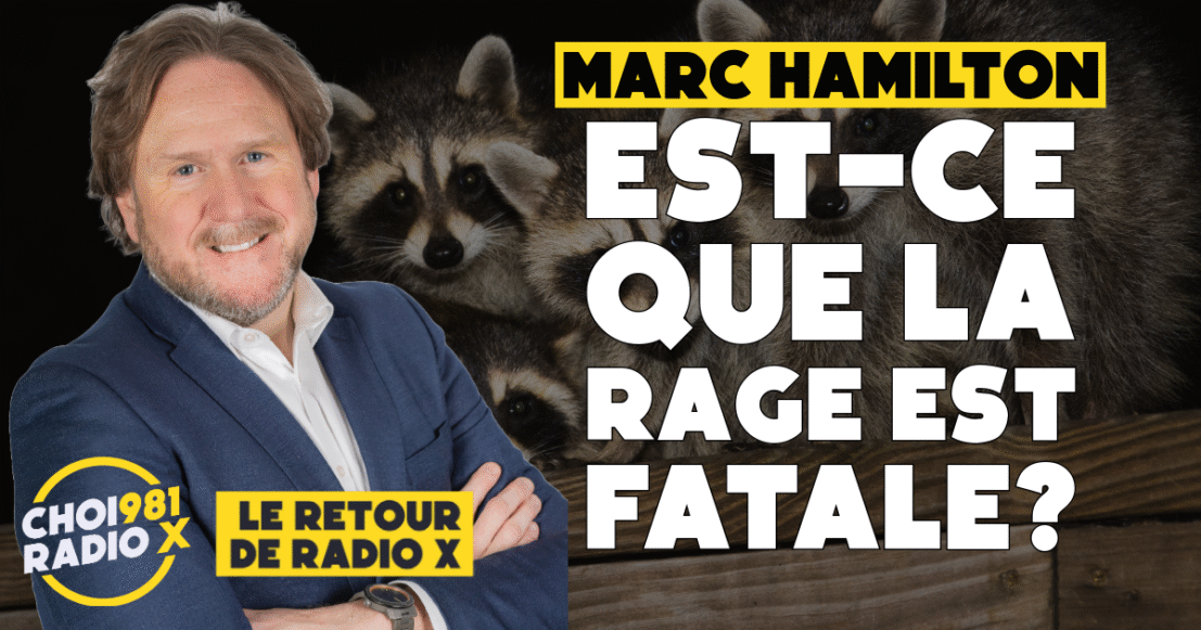 Le Retour de Radio X – Radio X
